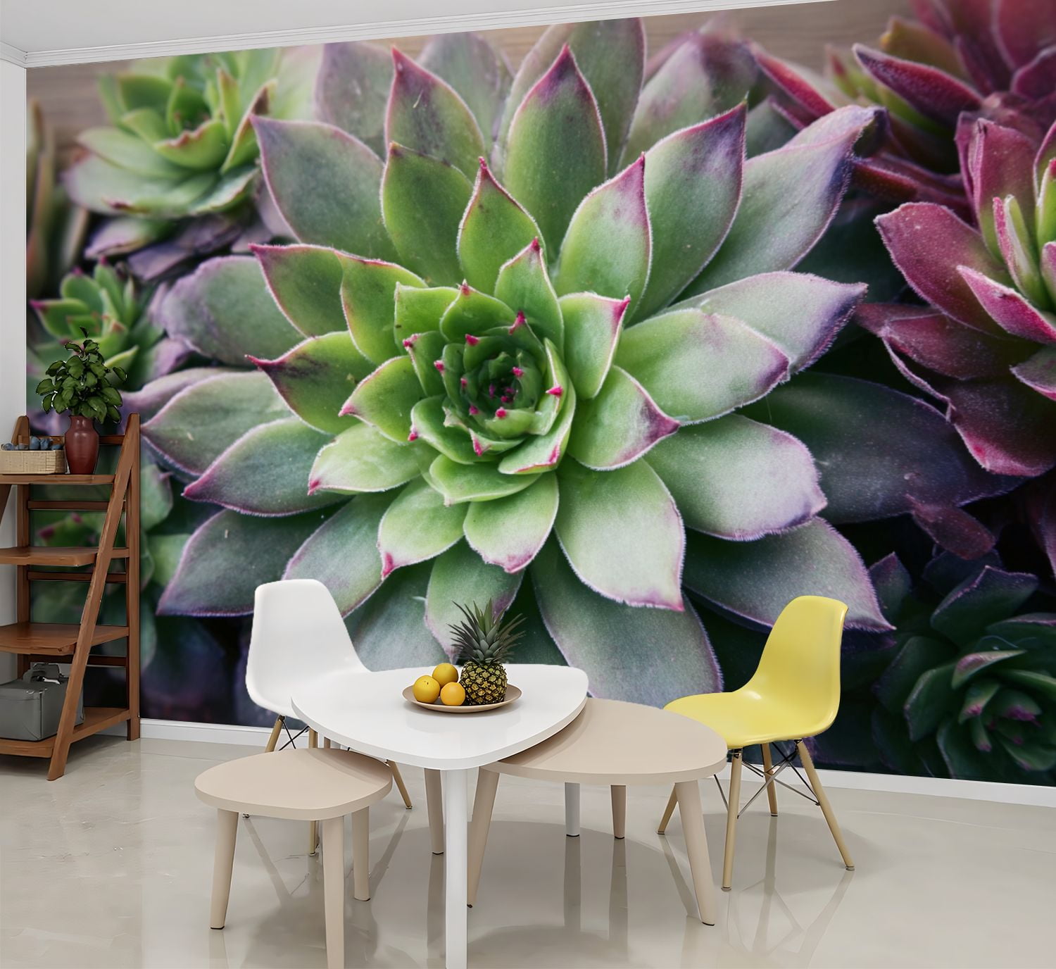 Wallpaper Succulent plants set Peel and Stick Wall Murals 69"H x 96"W ...