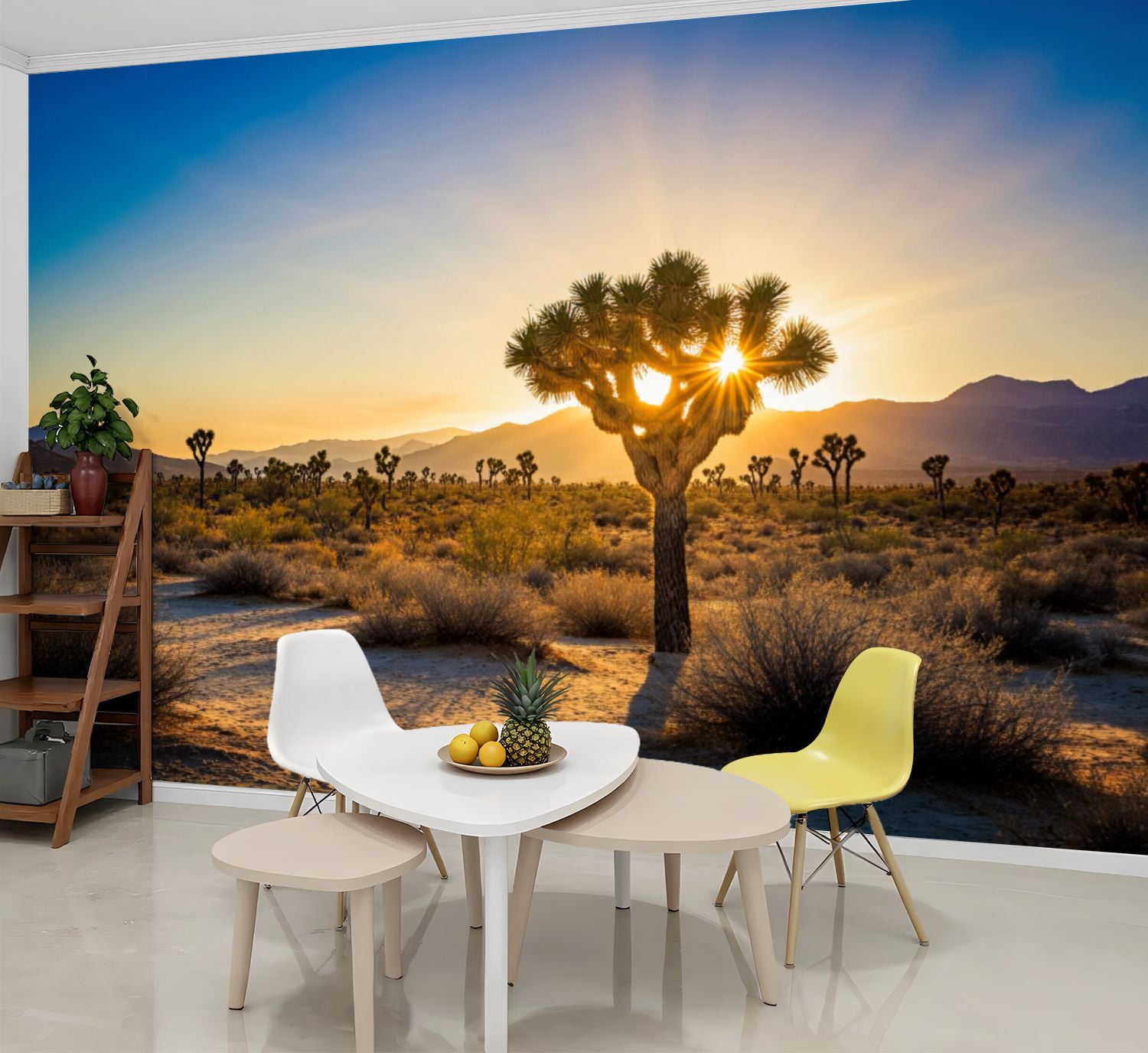 Wallpaper Sunset desert landscape Joshua Tree National Park California ...