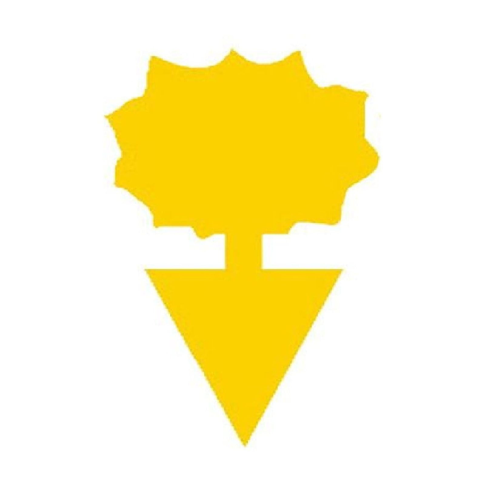 Walmart Clearance! Classic Sticky Traps for Fungus Gnat (Plants), Fruit ...