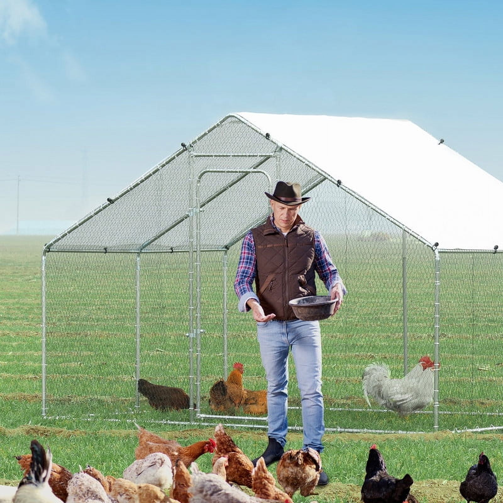 Walnest 10x6.56ft Large Metal Chicken Coop Walk-in Poultry Cage Chicken ...