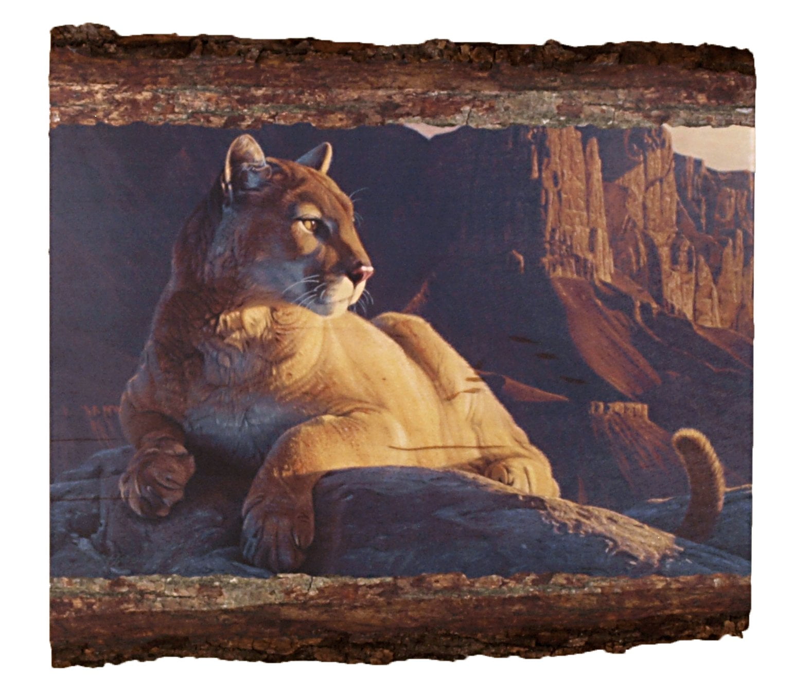 Walnut Hollow Cougar Themed Wildlife Wall Art Panel with Attractive ...