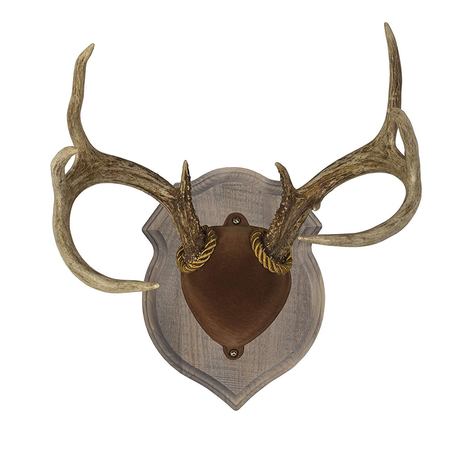 Walnut Hollow Country Deluxe Antler Display Kit with Rustic Wooden ...