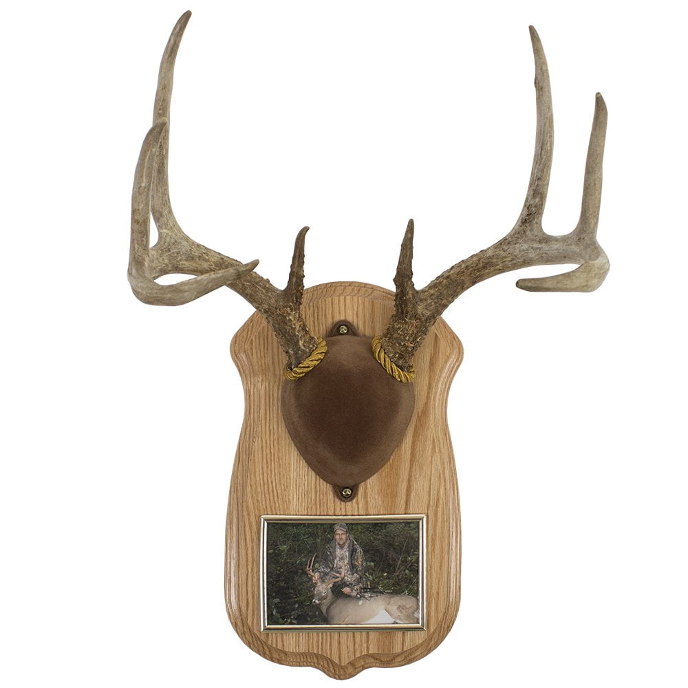 Walnut Hollow Country Deluxe Deer Antler Display Kit with Photo Frame ...