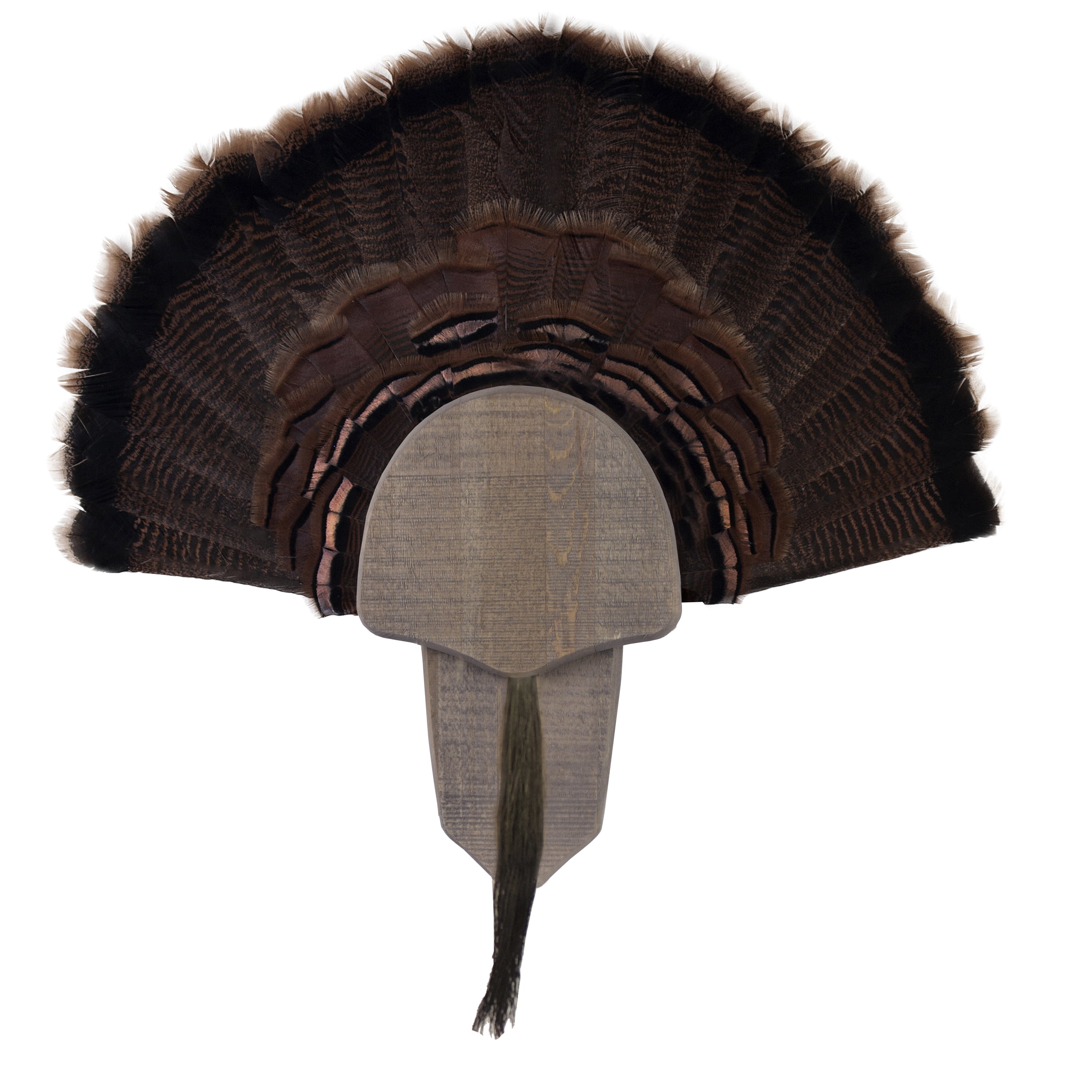 Walnut Hollow Country Rustic Turkey Fan Display Kit - Walmart.com