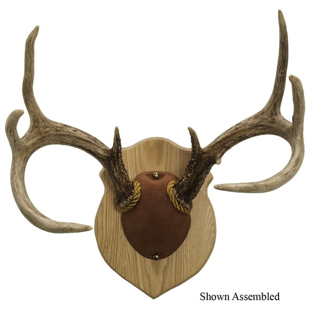 Walnut Hollow Country Solid Oak Antler Mount Kit with Plaque Cover for ...