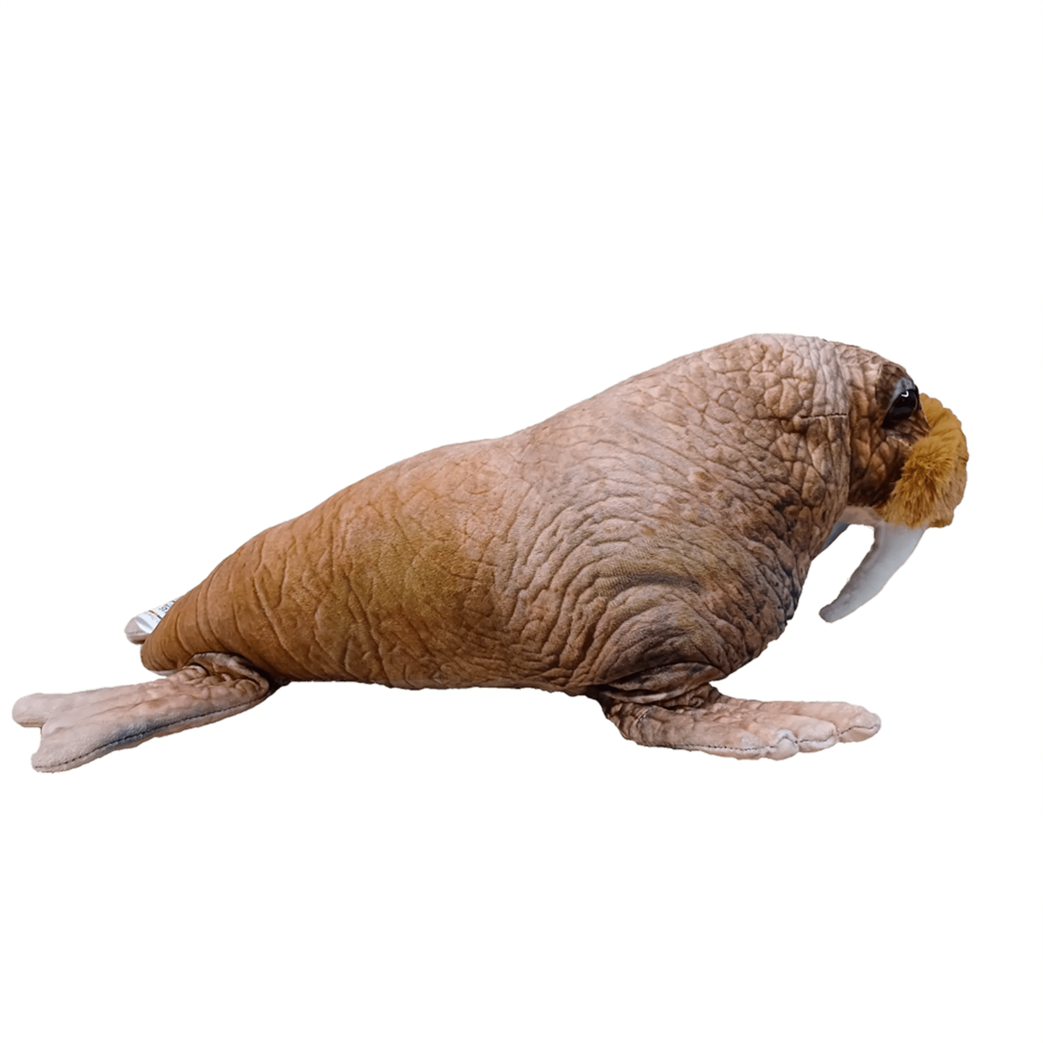Walrus 16" Plush Aquatic Stuffed Animal - Walmart.com