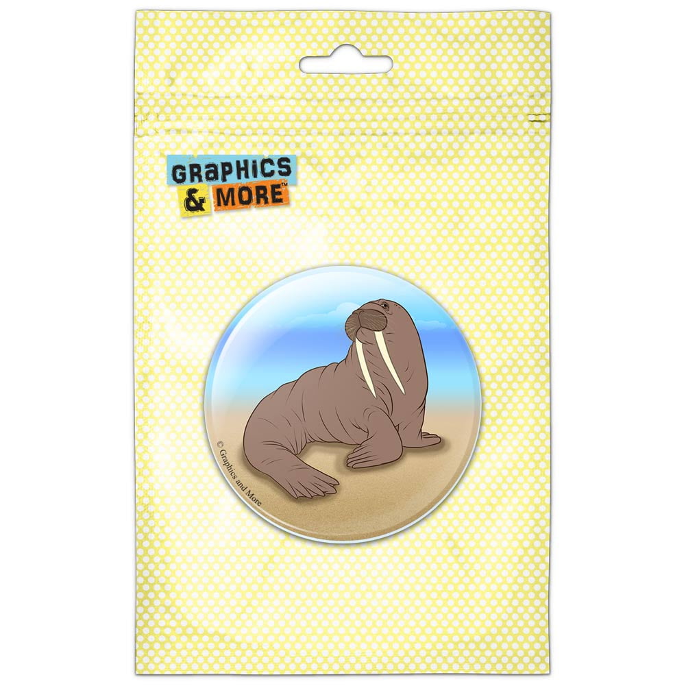 Walrus Beach Animal Refrigerator Button Magnet - Walmart.com