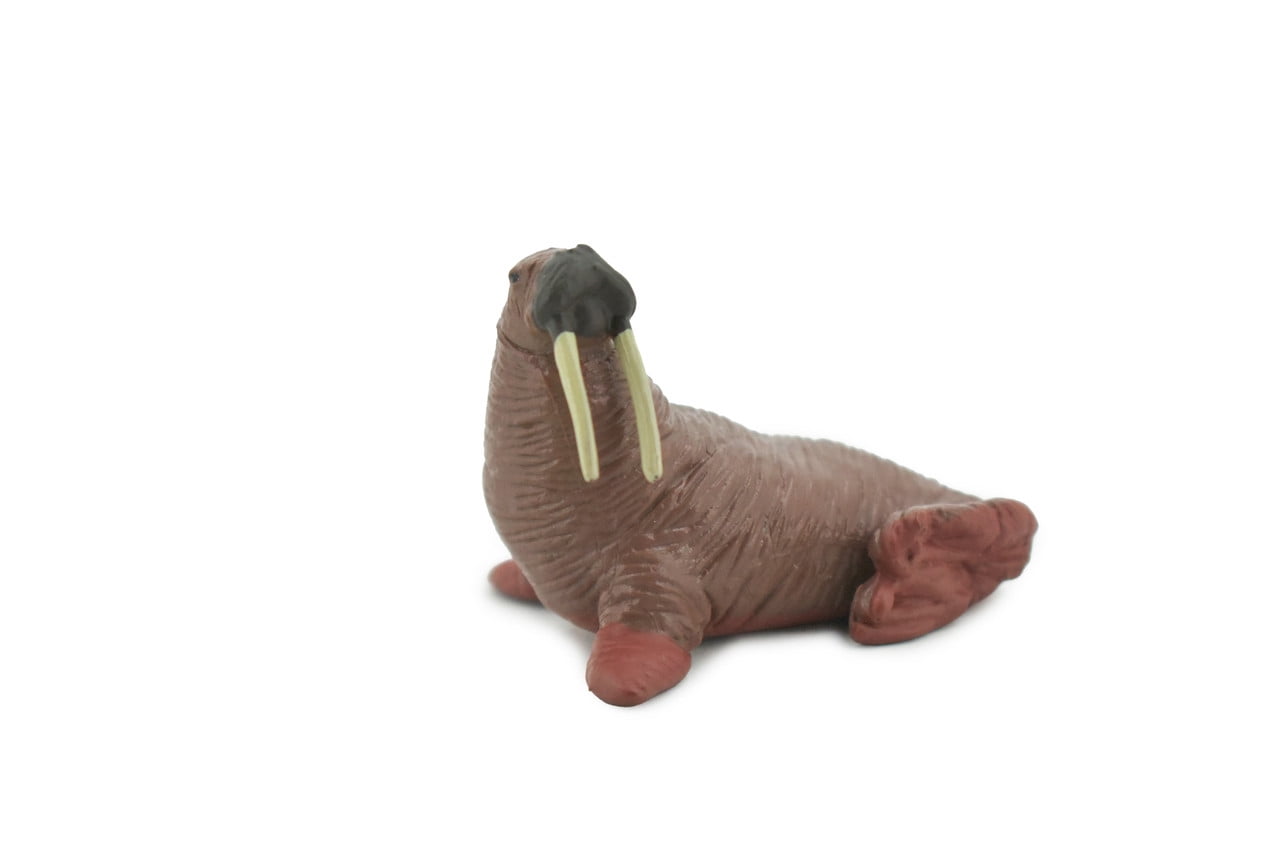 Walrus, Pinniped, Marine Mammal, Museum Quality, Hand Painted, Rubber ...