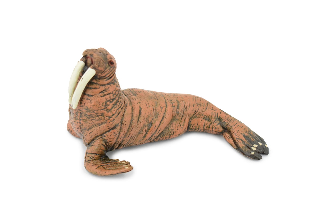 Walrus, Pinniped Marine Mammal, Museum Quality, Hand Painted, Rubber ...