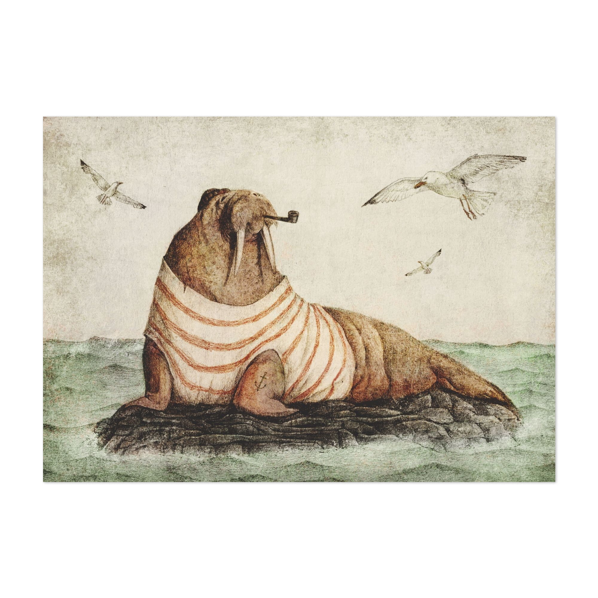 Walrus Sailor - Drawing Unframed Wall Art Print 16 x 24 inches ...