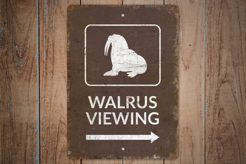 Walrus Viewing Walrus Viewing Sign Walrus Lover Gift Walrus Viewing ...