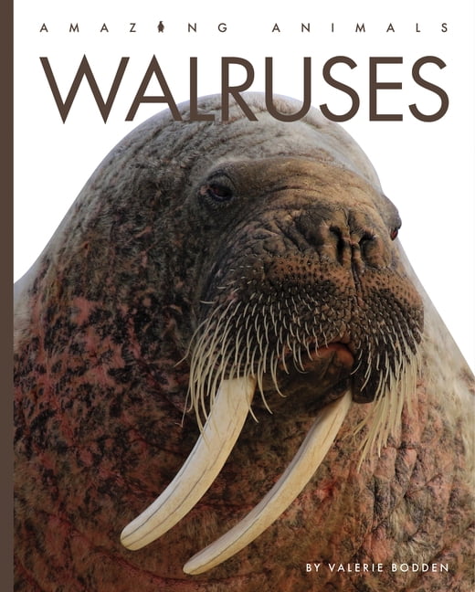 Walruses -- Valerie Bodden - Walmart.com