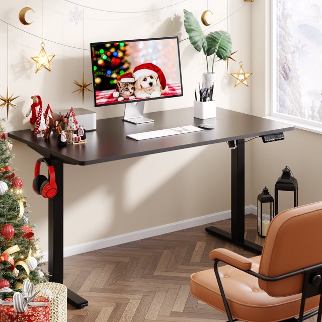 Walsunny 55" x 24" Electric Height Adjustable Standing Desk Home Office ...