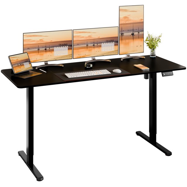 Walsunny 63" x 23.6" Electric Height Adjustable Standing Desk Home ...