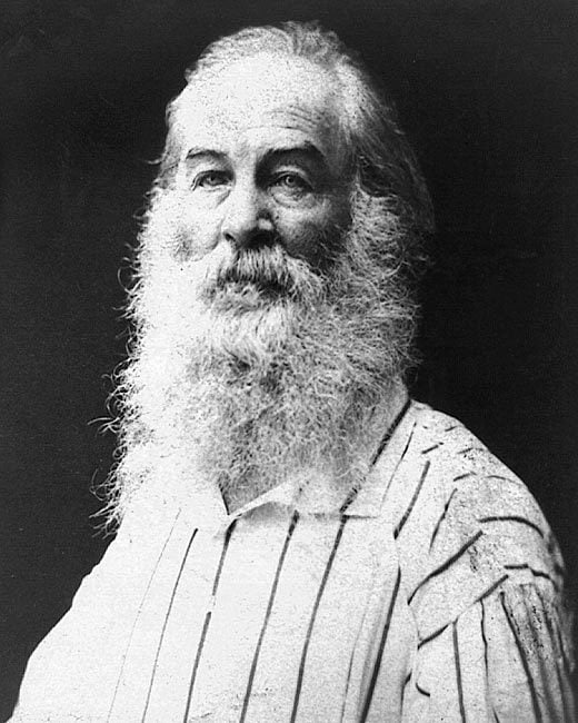 Walt Whitman Portrait Poet Leaves of Grass Style - A - 20x30 Inch ...