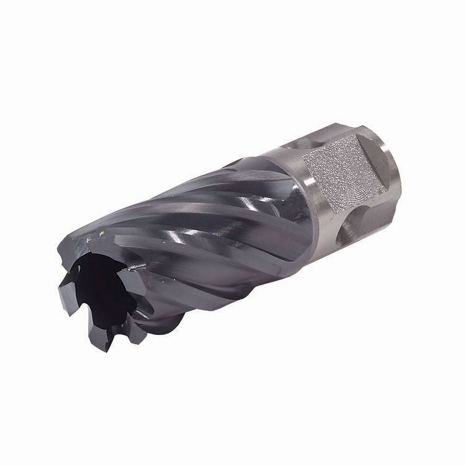 Walter 05F403 1-3/16" x 2" Icecut Annular Core Cutter, Universal Shank ...
