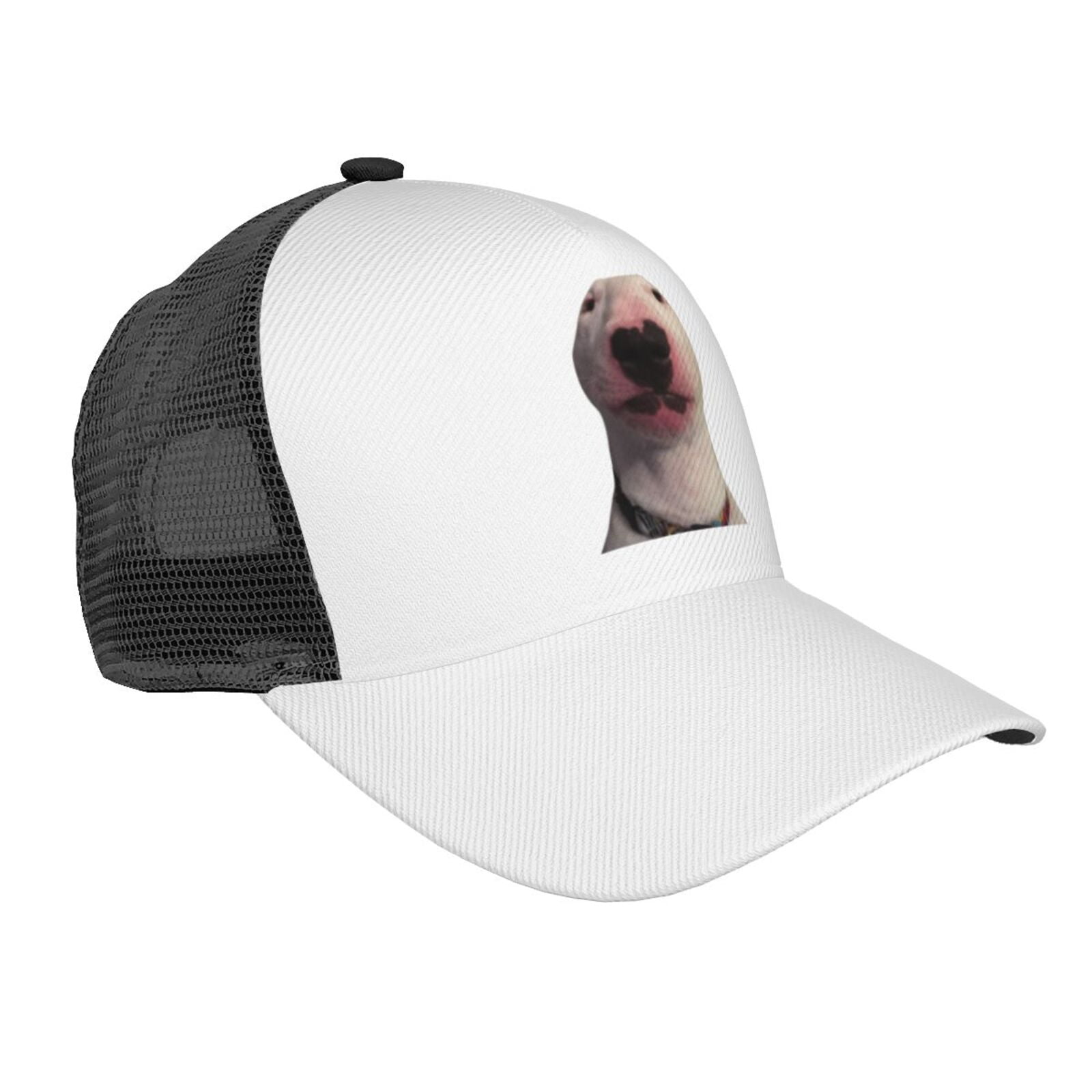 Walter (Dog Meme) Hat Adjustable Washable Adult Curved Brim Mesh ...