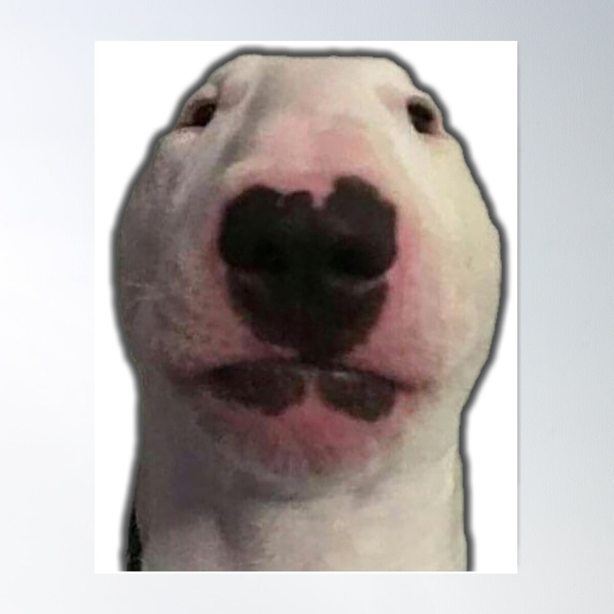 Walter Dog Meme Poster Wall Art, Modern Wall Decor For Living Room ...