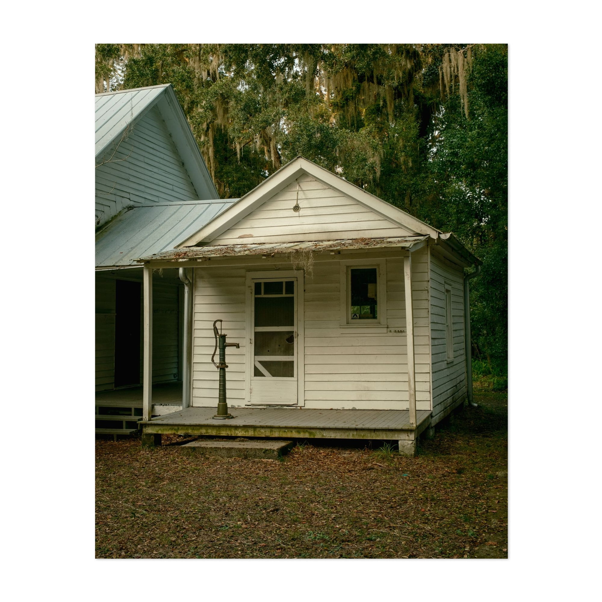 Walter Jones Historic Park, Jacksonville 01 - Jacksonville Florida ...