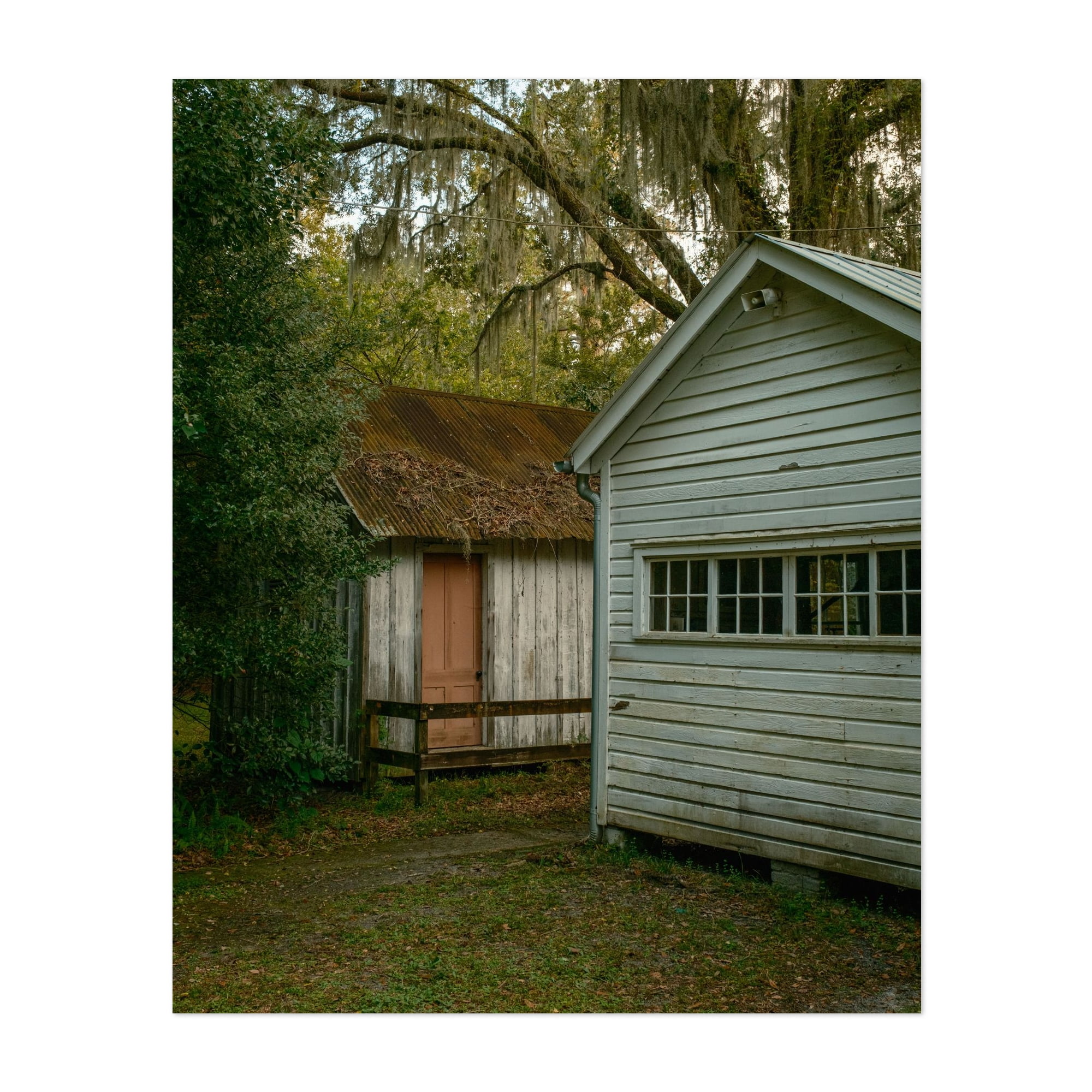 Walter Jones Historic Park, Jacksonville 02 - Jacksonville Florida ...