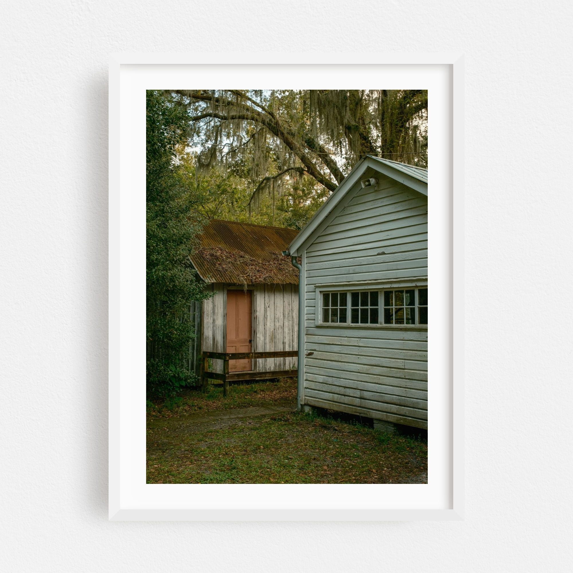 Walter Jones Historic Park, Jacksonville 02 - Jacksonville Florida ...