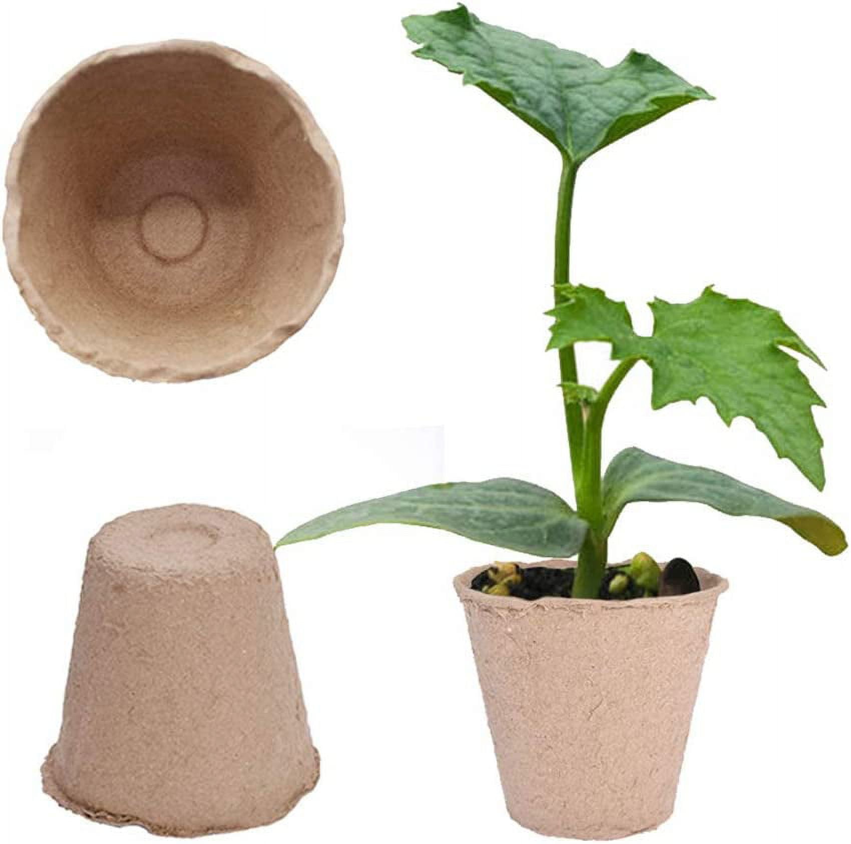 Waltyotur 100PACK Biodegradable Paper Pulp Peat Pots Plant Nursery Cup ...