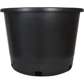 25 Gallon Pot