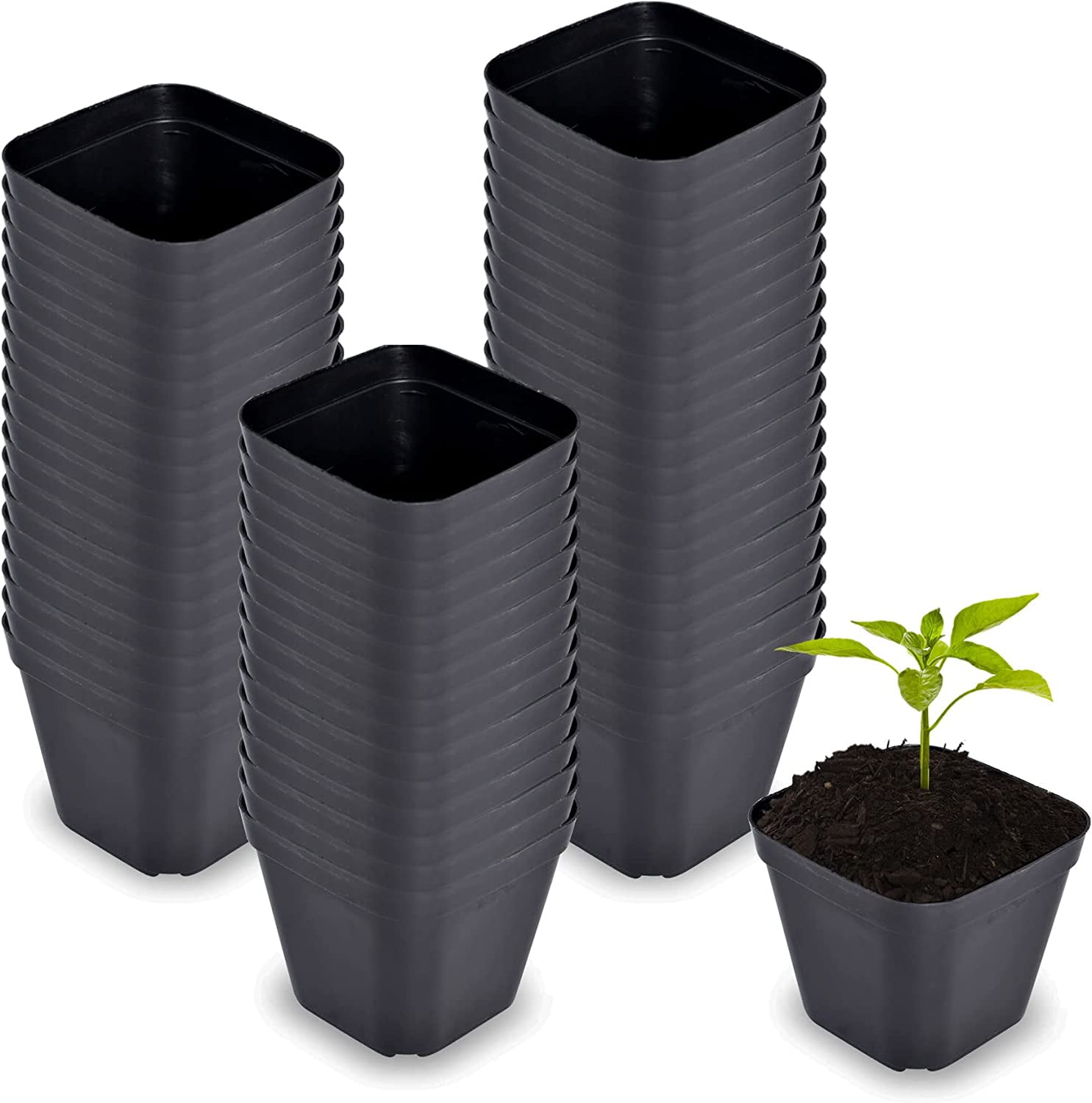 Waltyotur Square Plastic Seedling Pots Nursery Pots Fit for Seedlings ...