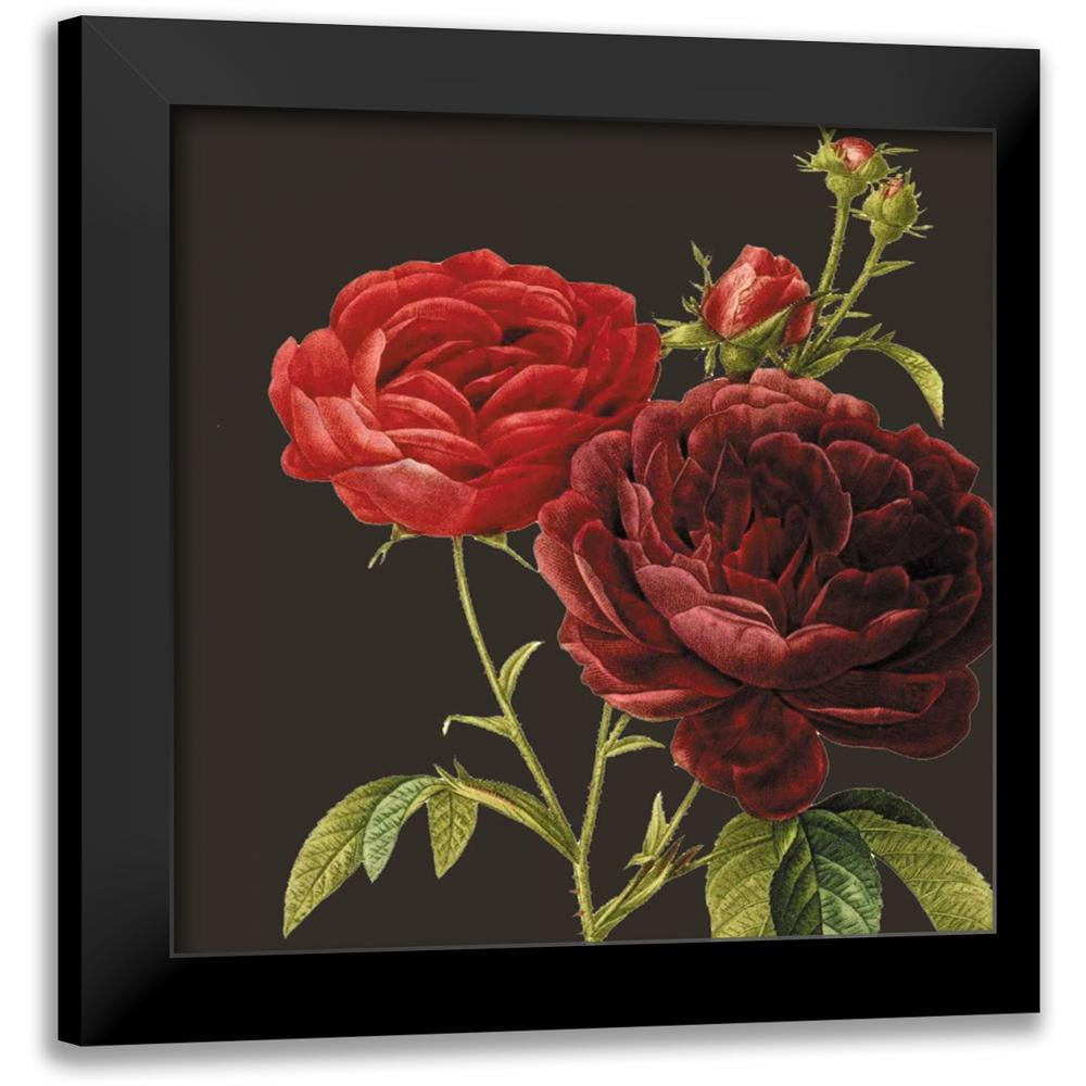 Waltz, Anne 20x20 Black Modern Framed Museum Art Print Titled - Classic ...