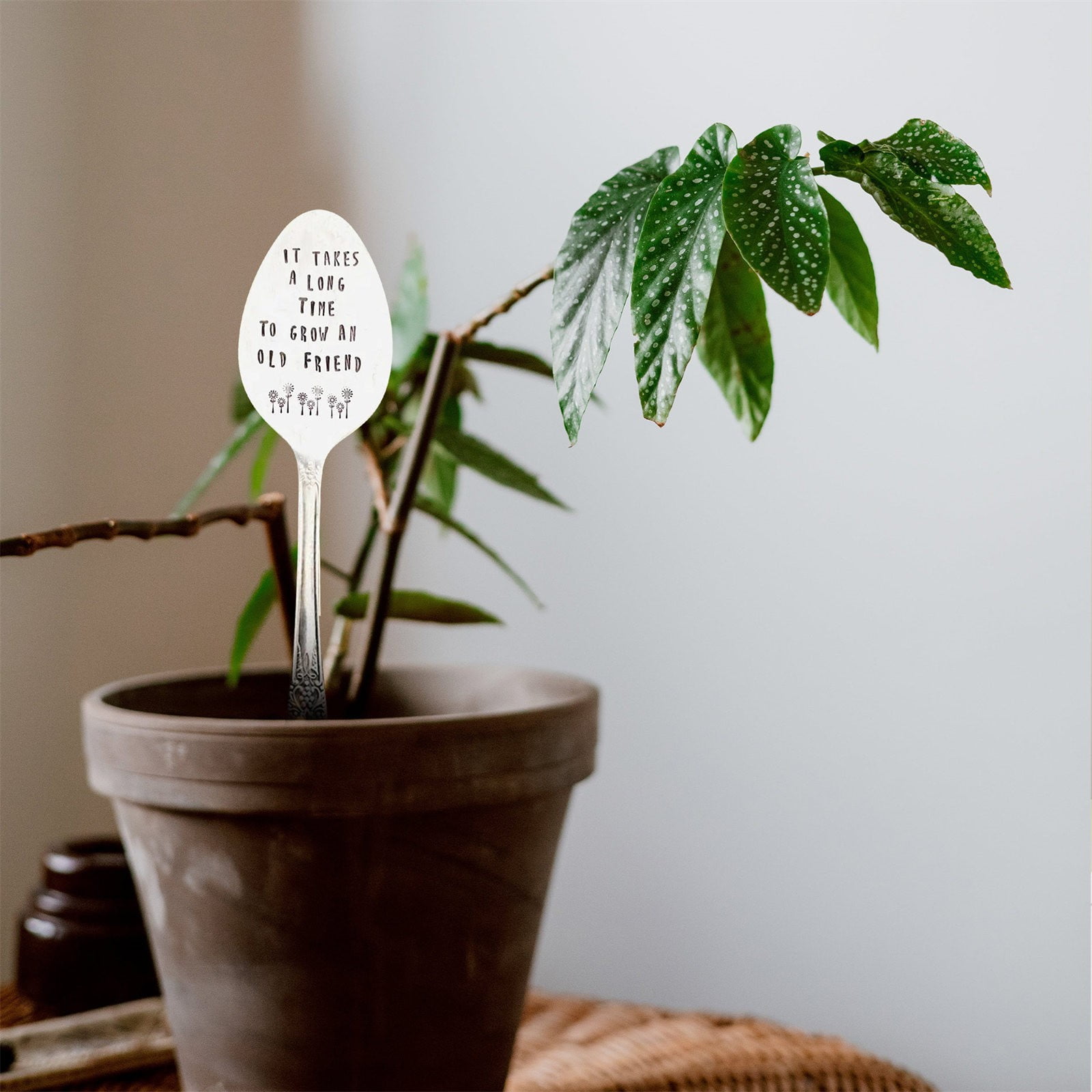 Wamans Plant Labels for Seedlings Spoon Shaped Plant Plugin Logo, Hand ...