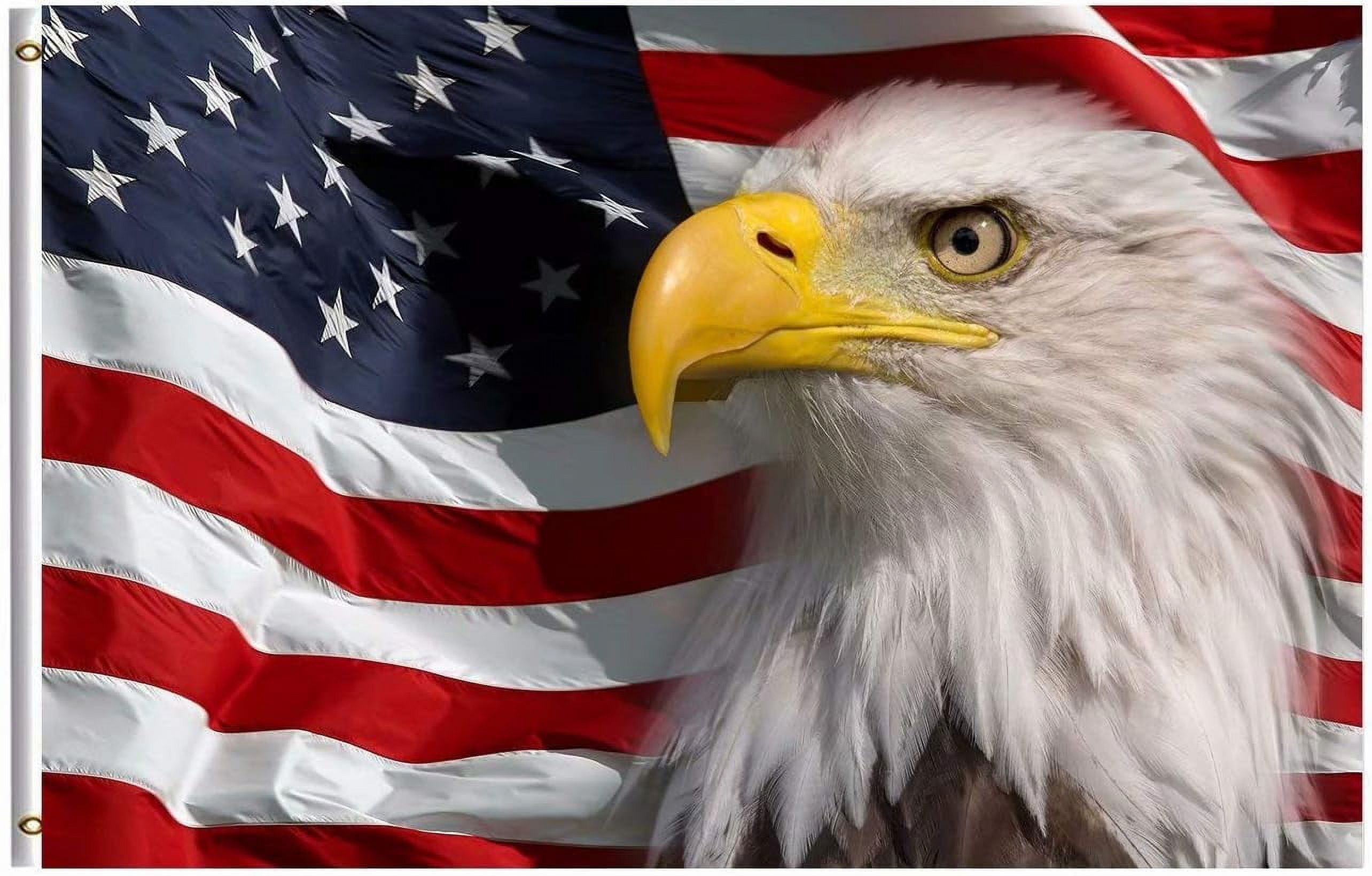 Wamika Patriotic Eagle Flag with Brass Grommets Classic North Bald ...