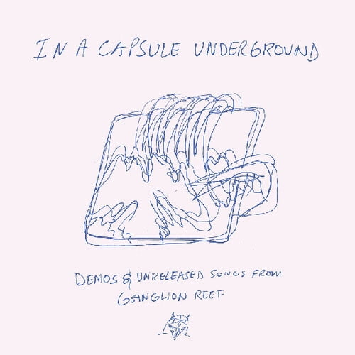 Wand - In A Capsule Underground - Music & Performance - Vinyl - Walmart ...