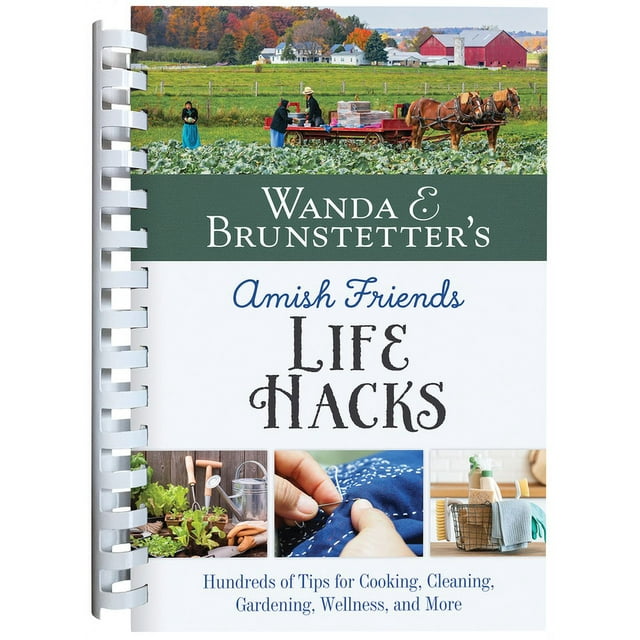 Wanda E. Brunstetter's Amish Friends Life Hacks: Practical Tips for ...