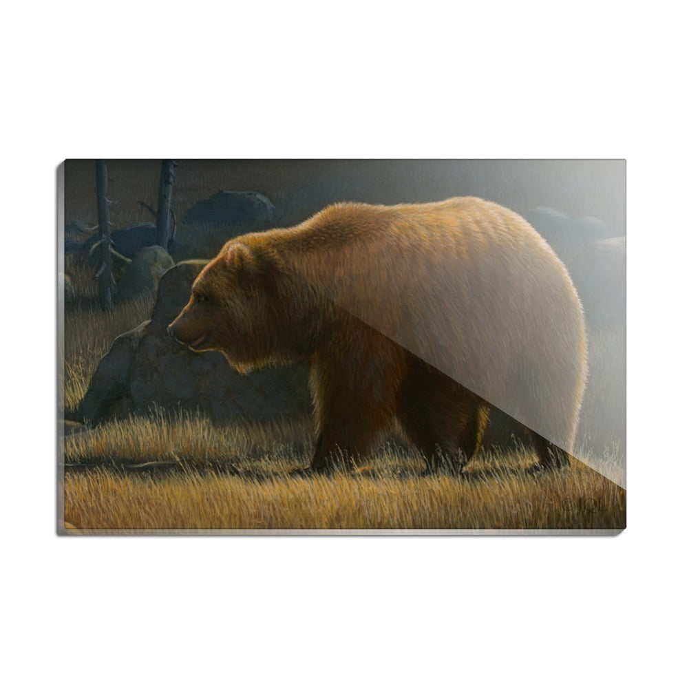 Wandering Grizzly Bear Rectangle Acrylic Fridge Refrigerator Magnet ...