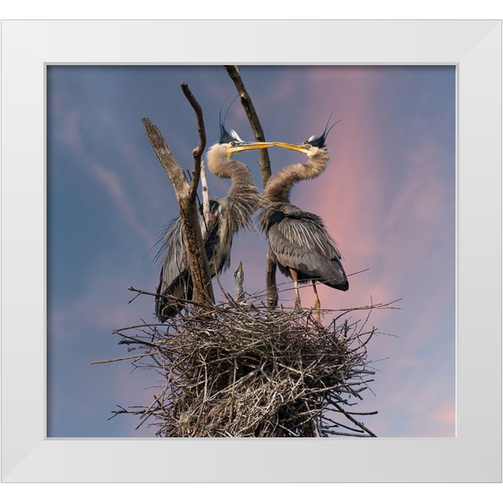 Wang, Kevin 16x15 White Modern Wood Framed Museum Art Print Titled ...