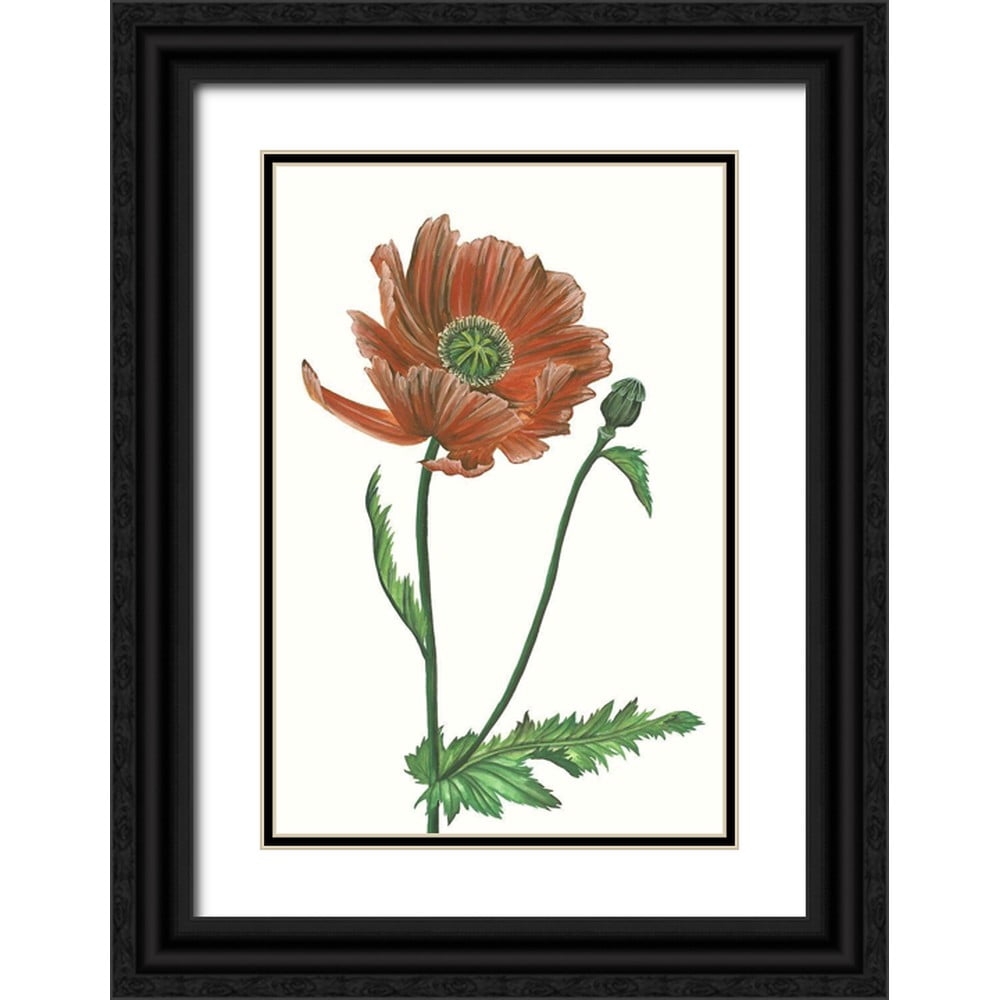 Wang, Melissa 11x14 Black Ornate Wood Framed with Double Matting Museum ...