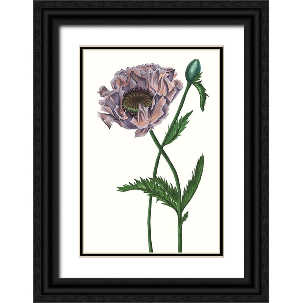Wang, Melissa 11x14 Black Ornate Wood Framed with Double Matting Museum ...
