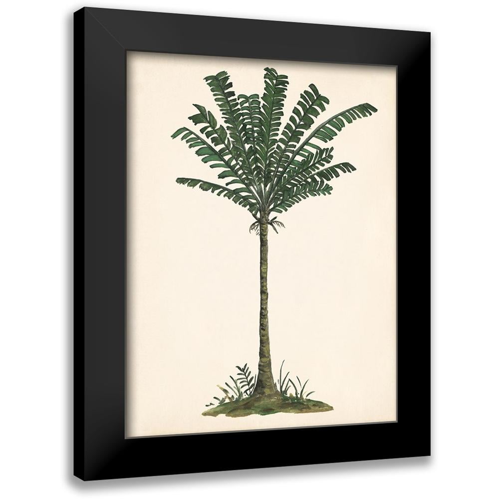 Wang, Melissa 12x14 Black Modern Framed Museum Art Print Titled - Palm ...