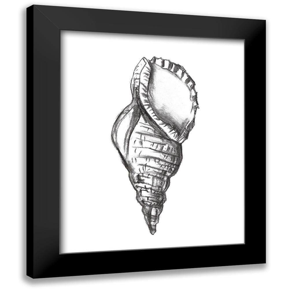 Wang, Melissa 12x14 Black Modern Framed Museum Art Print Titled - Seashell Study III - Walmart.com