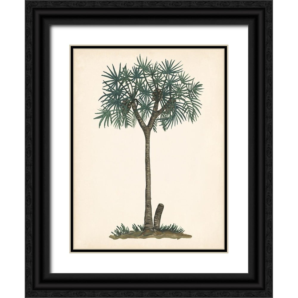 Wang, Melissa 12x14 Black Ornate Wood Framed with Double Matting Museum ...