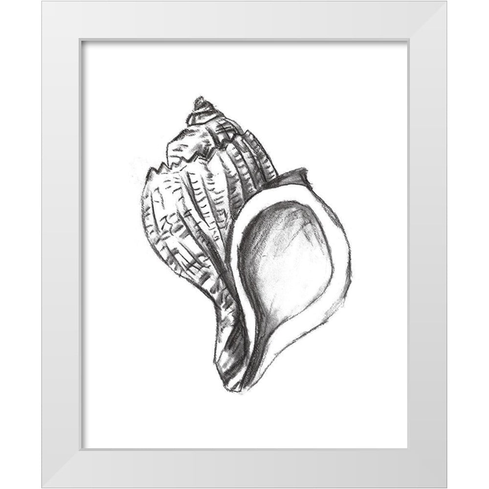 Wang, Melissa 15x18 White Modern Wood Framed Museum Art Print Titled - Seashell Study II ...