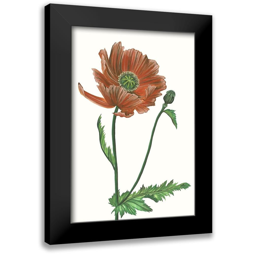 Wang, Melissa 17x24 Black Modern Framed Museum Art Print Titled - Poppy ...