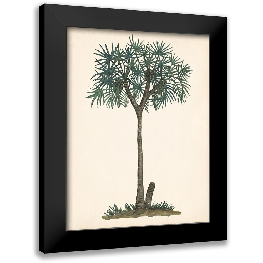 Wang, Melissa 19x24 Black Modern Framed Museum Art Print Titled - Palm ...