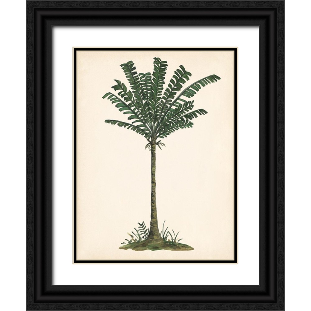 Wang, Melissa 19x24 Black Ornate Wood Framed with Double Matting Museum ...