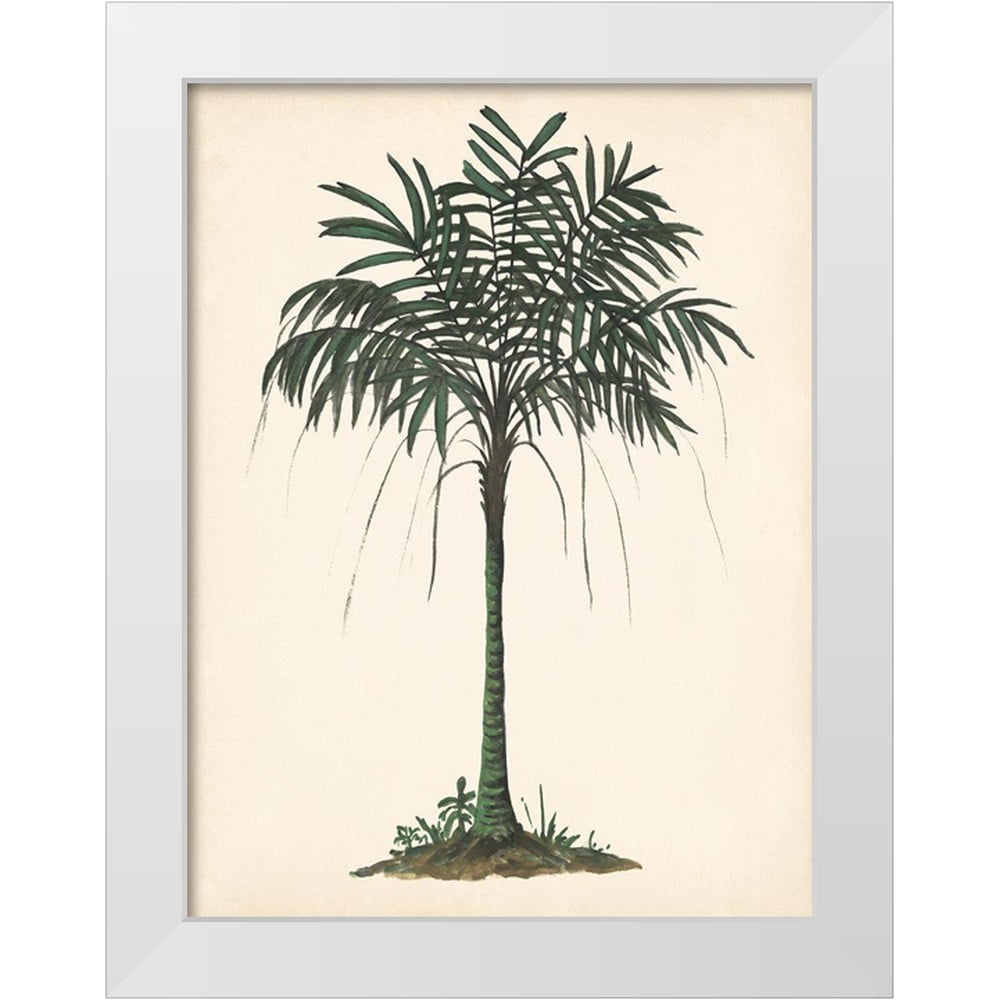 Wang, Melissa 19x24 White Modern Wood Framed Museum Art Print Titled - Palm Tree Study II ...