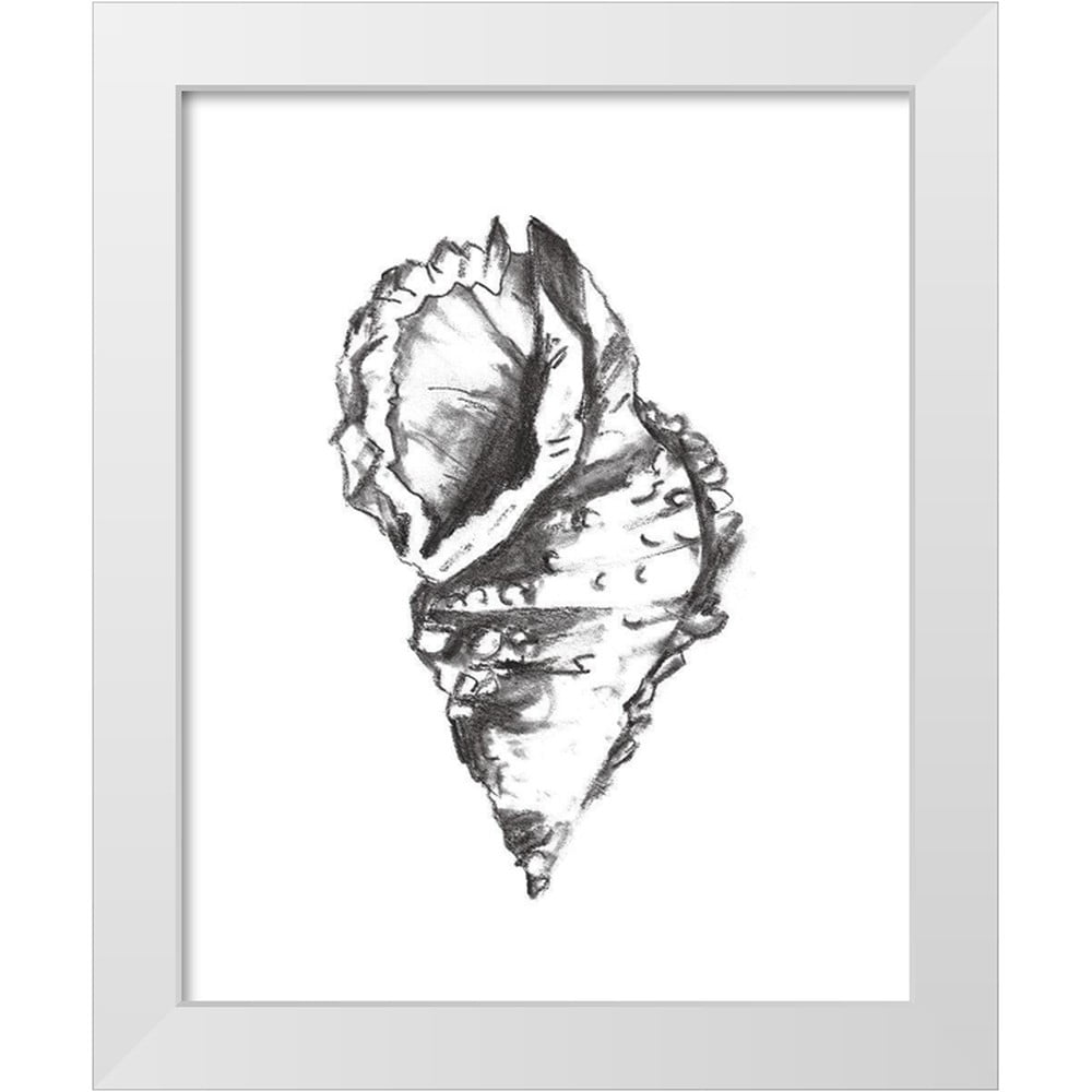Wang, Melissa 26x32 White Modern Wood Framed Museum Art Print Titled - Seashell Study I ...