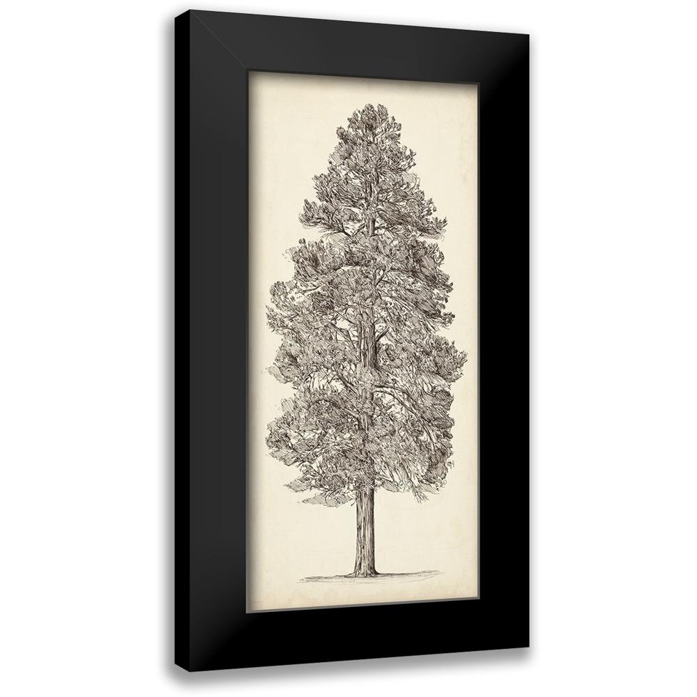 Trademark Fine Art 'Pacific Northwest Tree Sketch II' Canvas Art by ...
