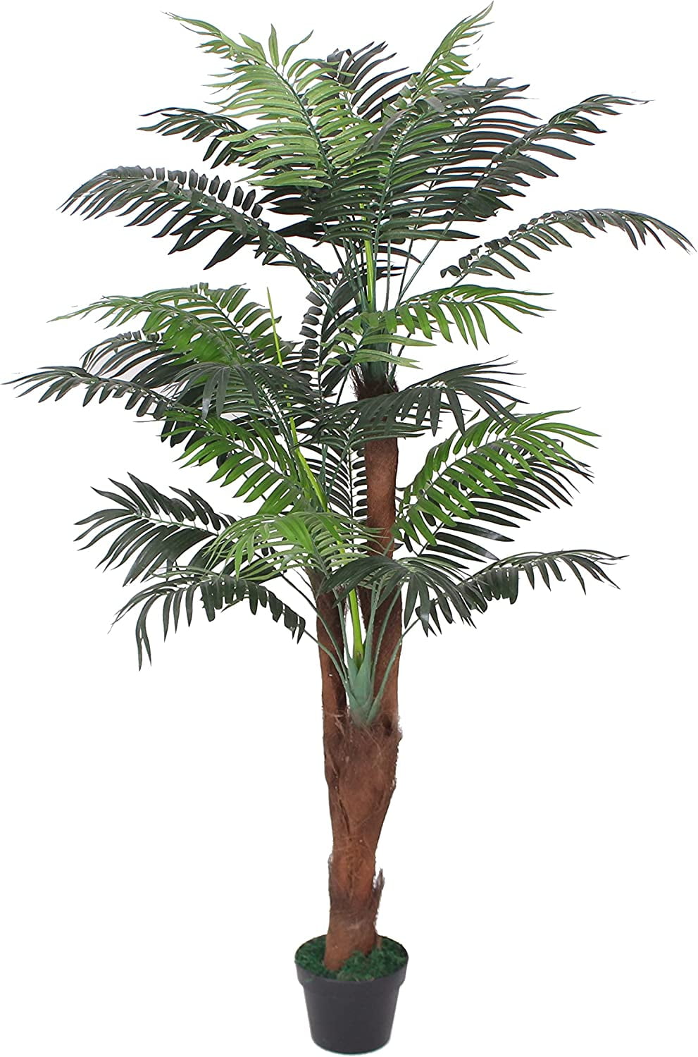 Wangxin Gorgeous Tech, w Gorgeous & Unique 6 Feet Tropical Palm Tree ...