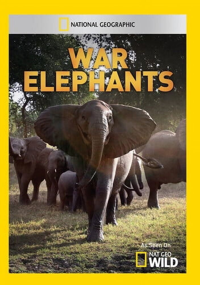 War Elephants (DVD), National Geographic, Documentary - Walmart.com