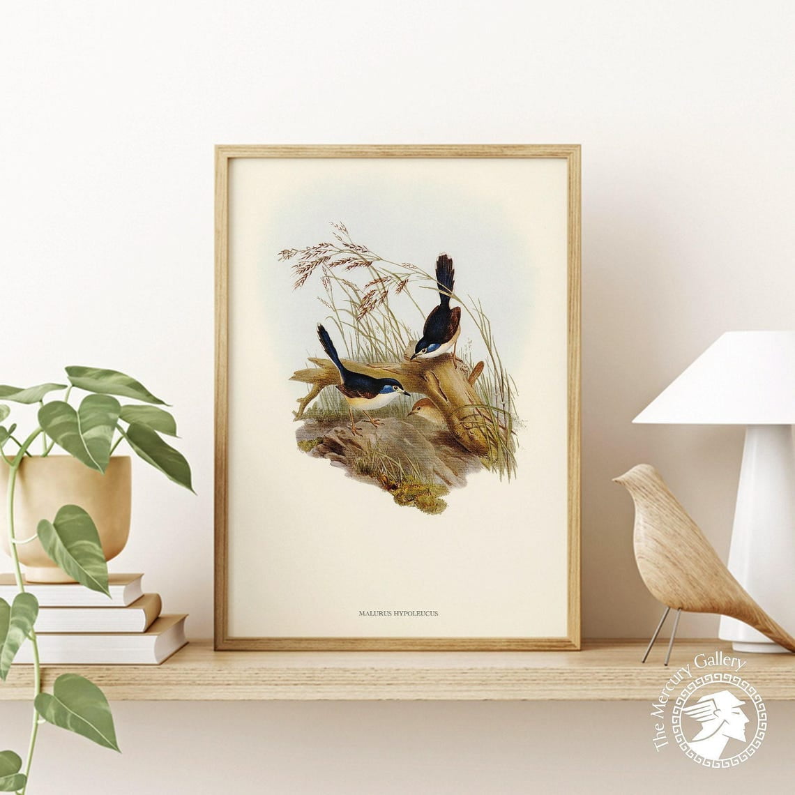 Warbler Bird Poster, Ornithology Wall Art Print, Neutral Minimal ...